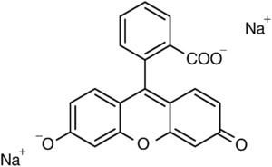 Fluorescein Sodium (Uranine) | GSP Chem